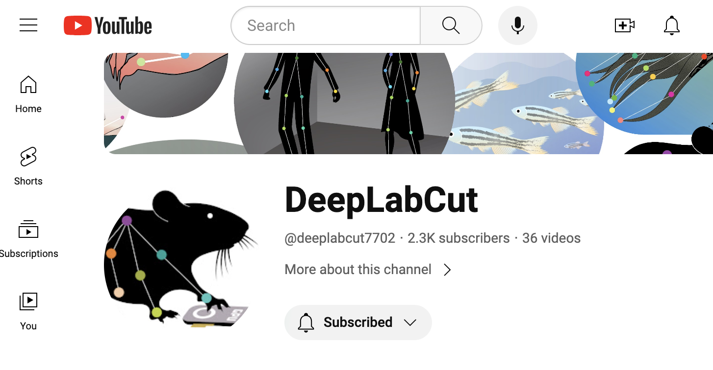 Learn to Code and Excel in Your Scientific Endeavors